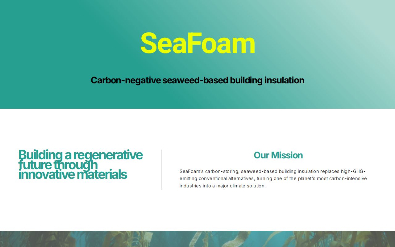 SeaFoam Insulation